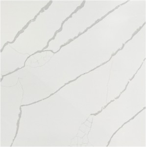 Michelangelo – Vision Quartz